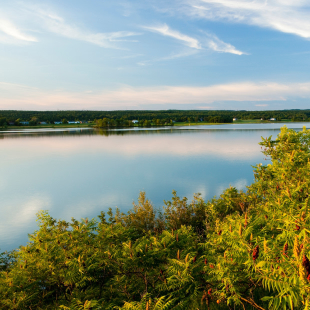 Parc national de Plaisance - Tourisme Outaouais